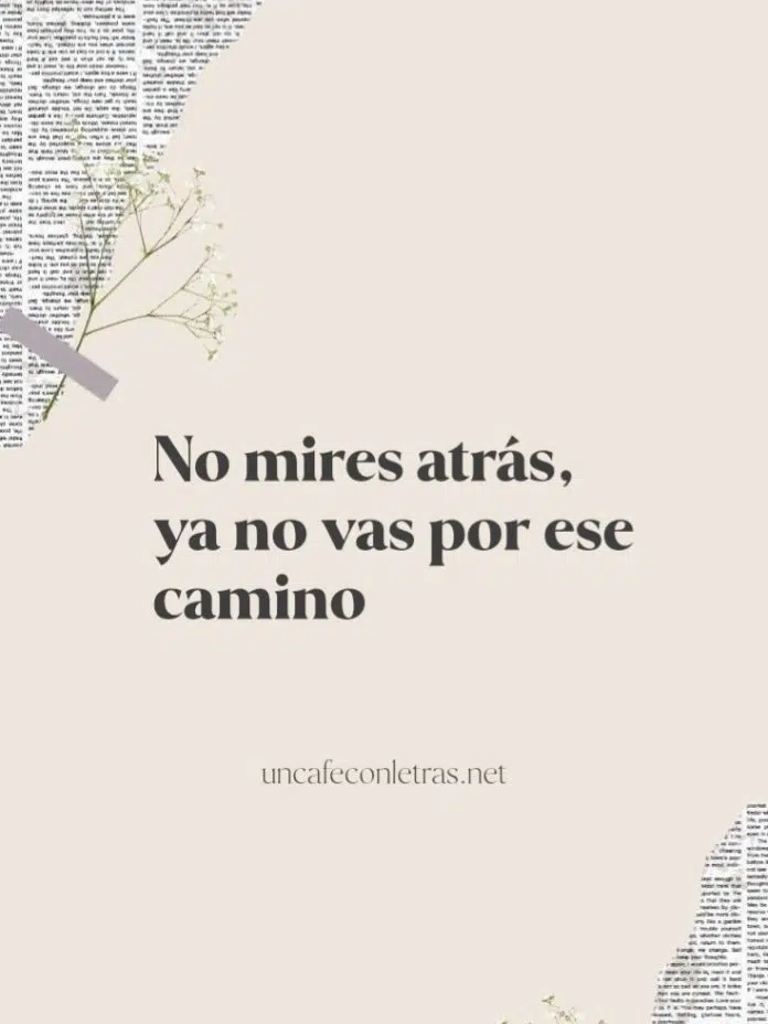 30 frases positivas cortas para tener una mente optimista