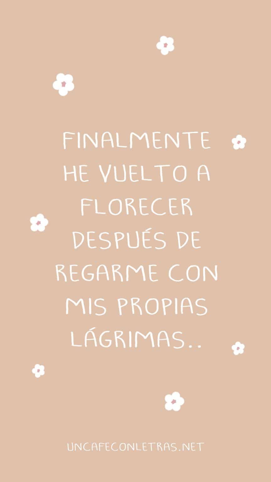 80 frases de amor propio para subir la autoestima