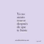 50 frases para tu ex: bonitas y sarcásticas